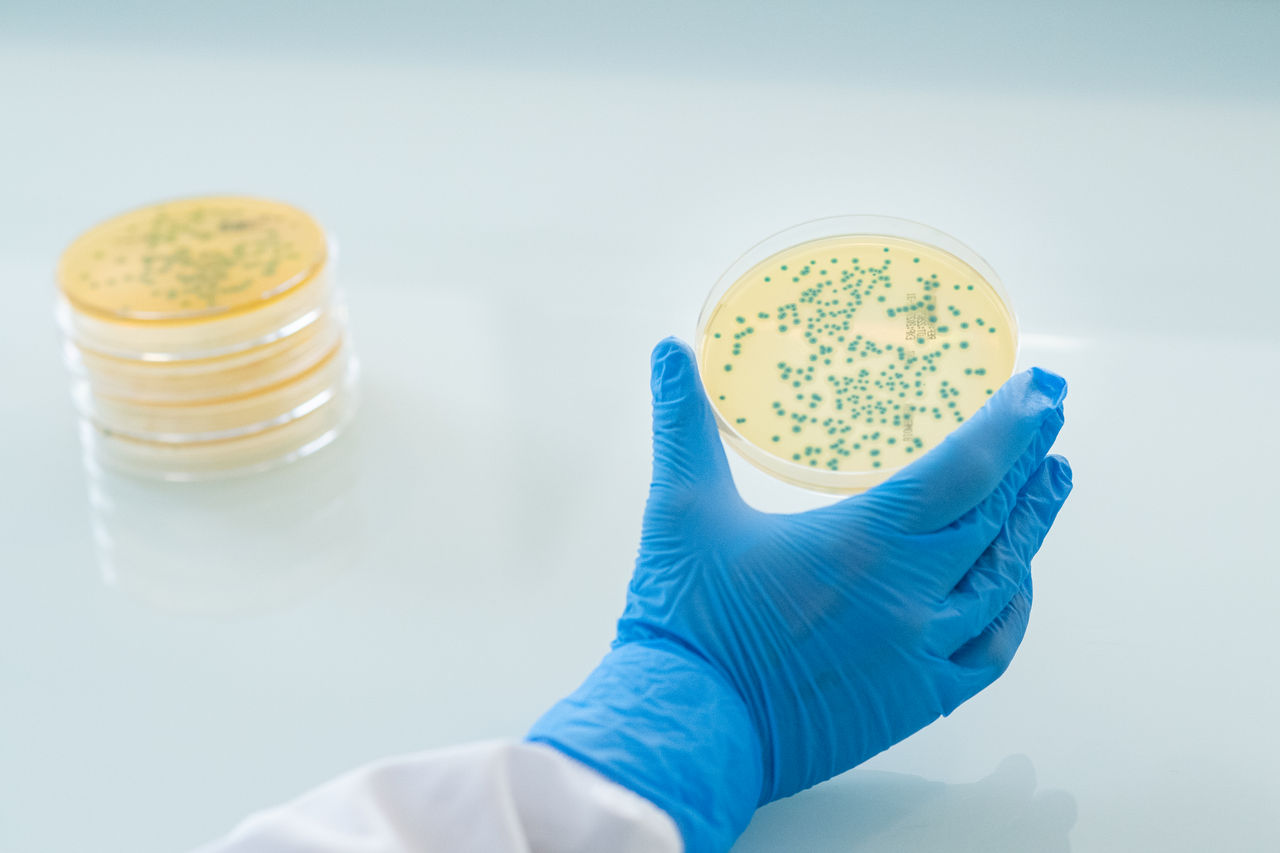 The Growing Problem of Listeria and Listeriosis: What are the risks and ...