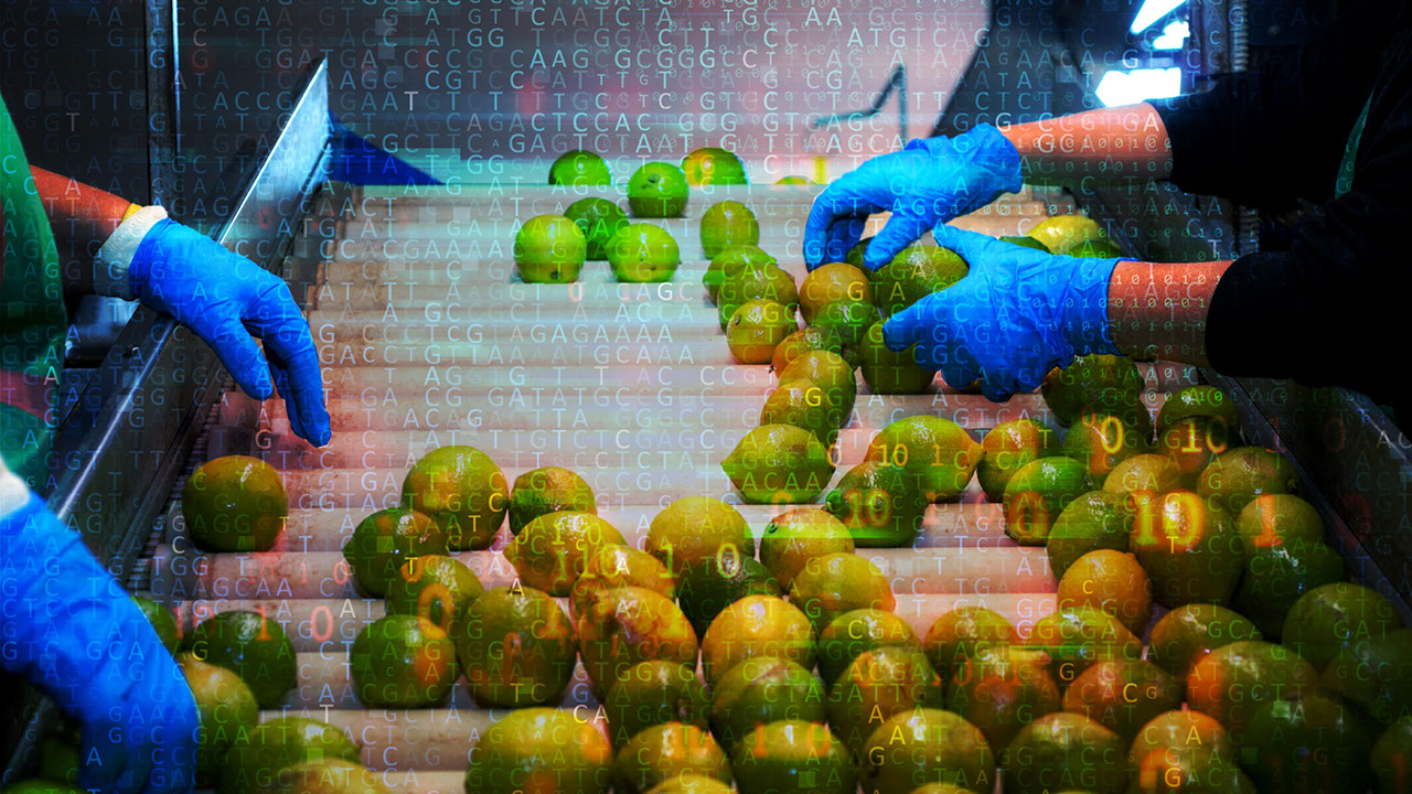 Innovations in Food Safety: A Q&A with Data Science Experts on ...