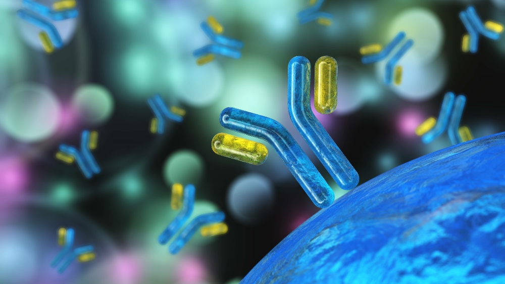 How do the COVID-19 tests and molecular tests work? | bioMérieux Living ...