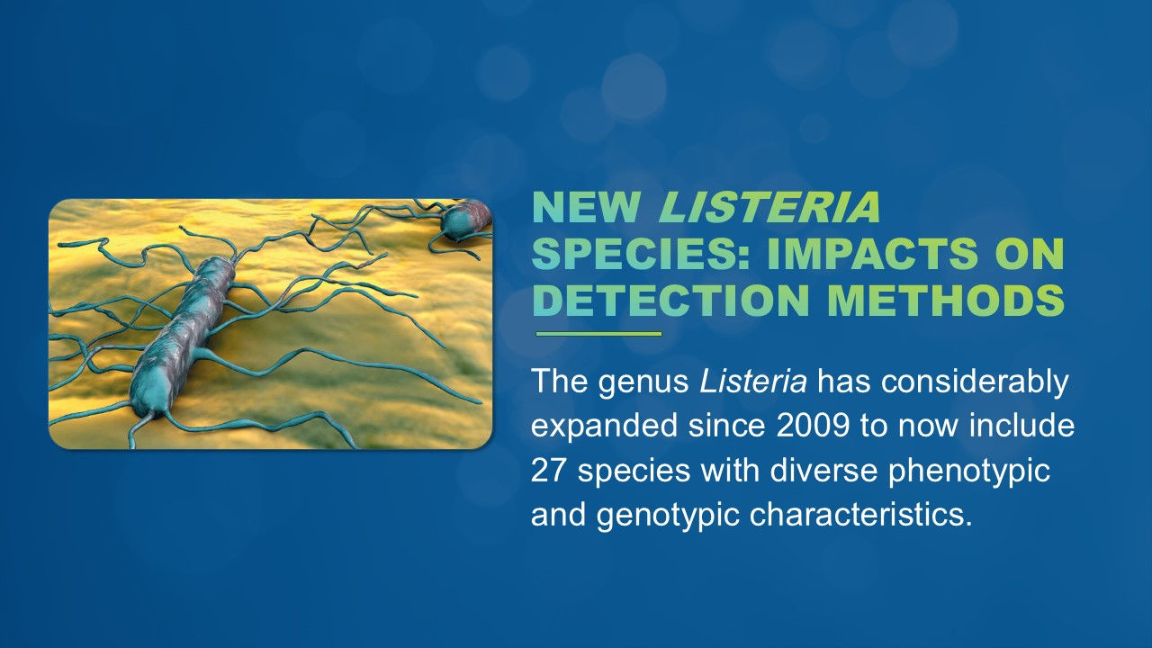 New Listeria Species Detection Methods | Pioneering Diagnostics