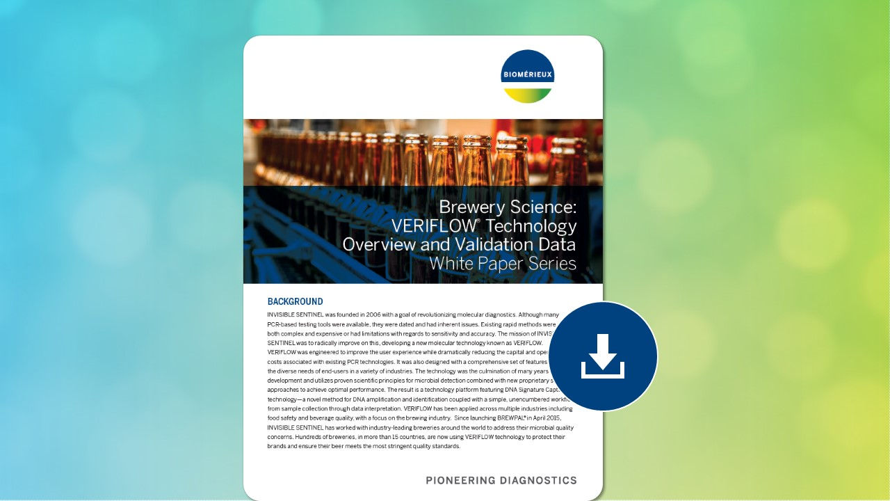 Beer Quality Testing Assay | Pioneering Diagnostics