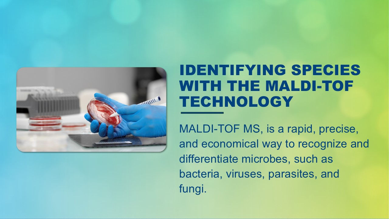 Mass Spectrometry MALDI-TOF Technology Species Level Identification ...