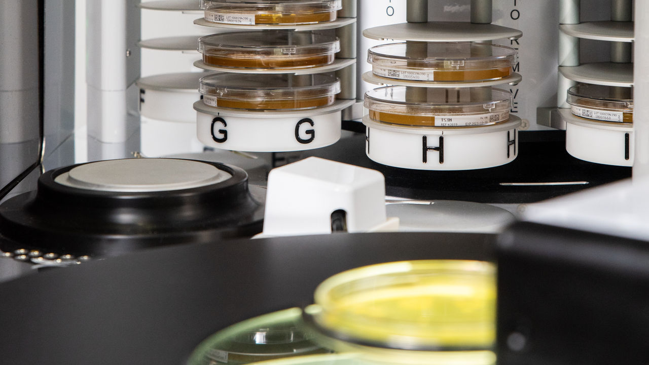 Single vs. Dual Temperature Incubation in Environmental Monitoring ...