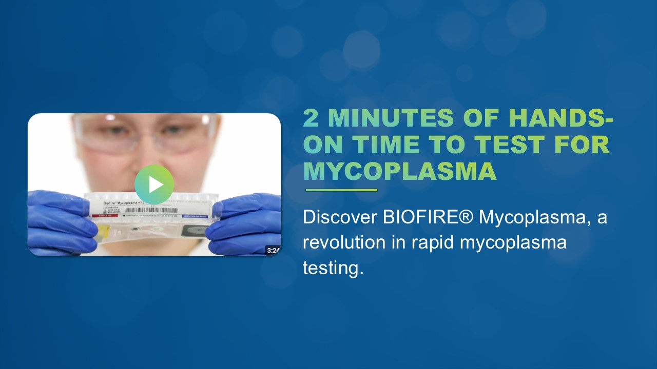 Rapid Mycoplasma Testing | Pioneering Diagnostics