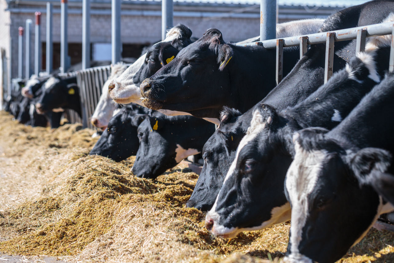 Diagnostics & Testing for Agricultural Biosolutions | Pioneering ...