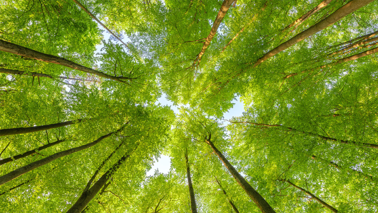 Trusted Third Party – A Collaborative Data-Driven model to enhance ...