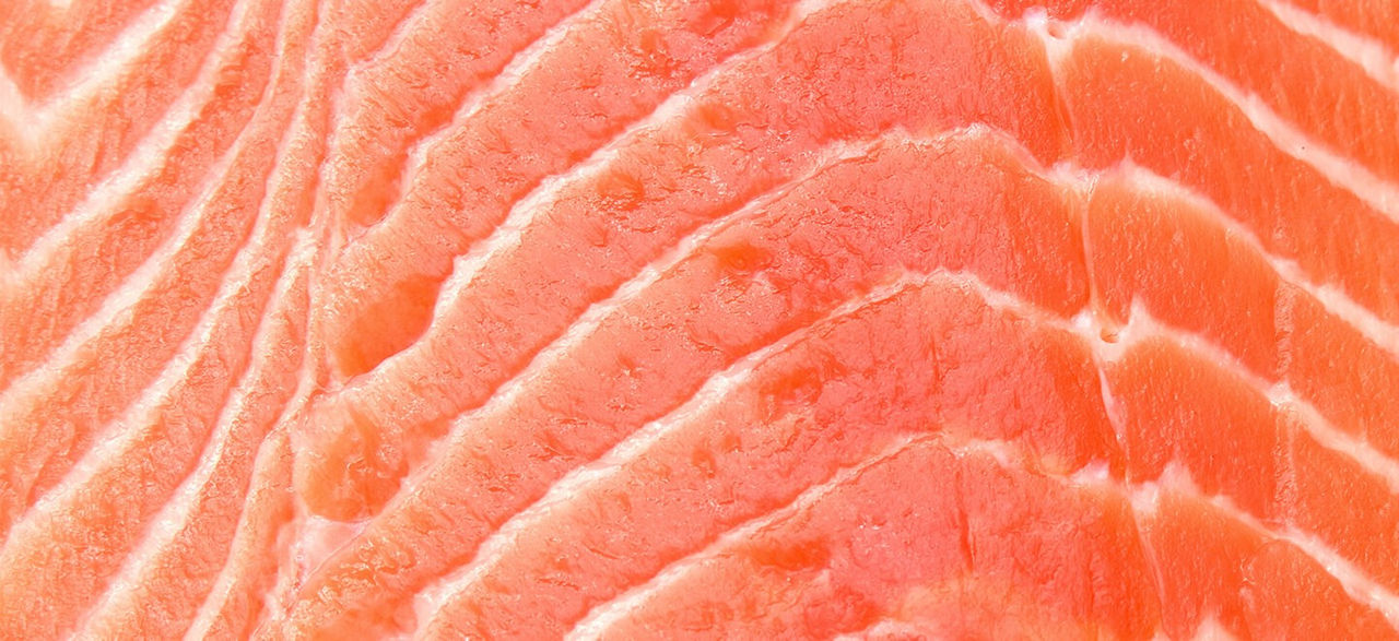 Fish and Seafood | Pioneering Diagnostics