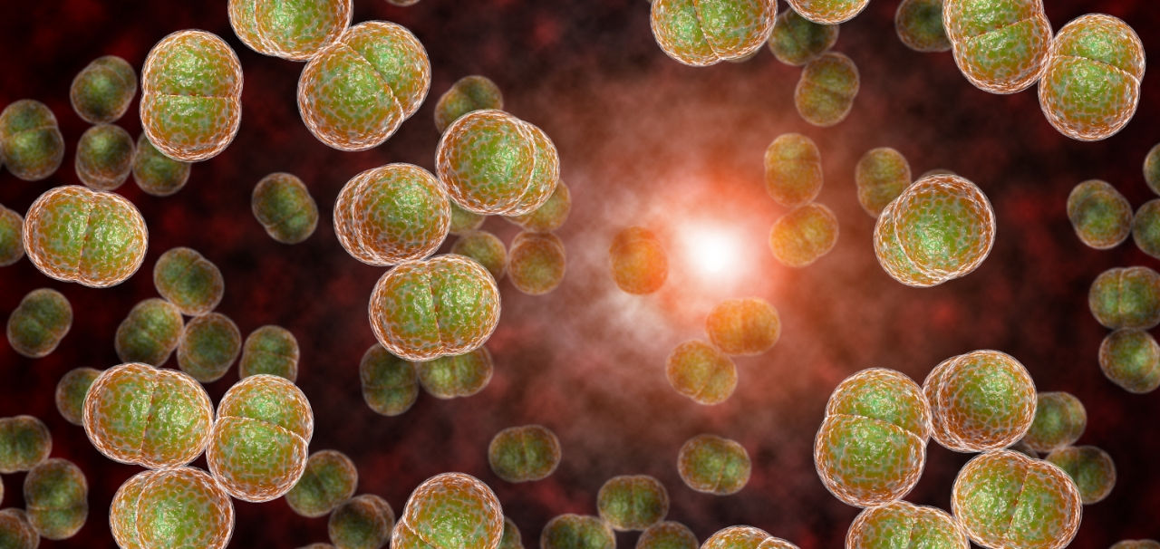 Central Nervous System (CNS) Infections | Pioneering Diagnostics