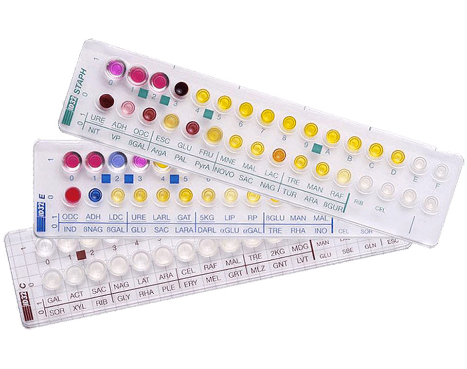 Microbial Identification | Pioneering Diagnostics