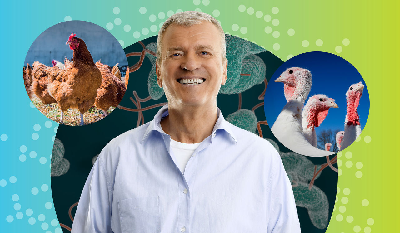 GENE-UP® CAMPYLOBACTER | Pioneering Diagnostics