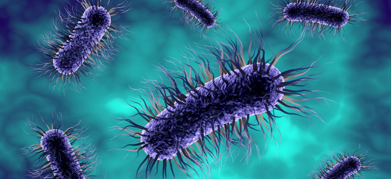 Endotoxin Testing | Pioneering Diagnostics