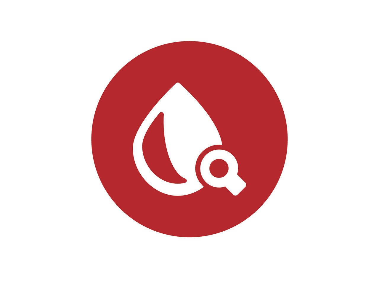 Panel BIOFIRE® Blood Culture Identification 2