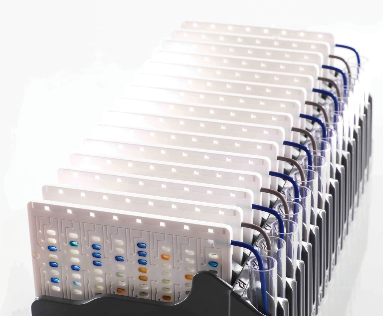 Tarjetas VITEK® 2 ID y AST