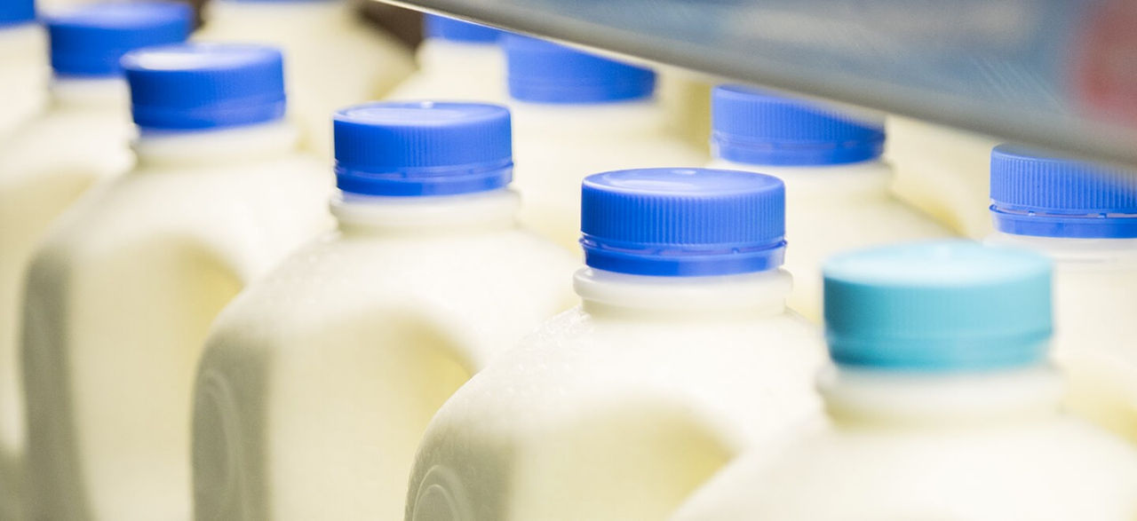 Leche pasteurizada y nata | Pioneering Diagnostics