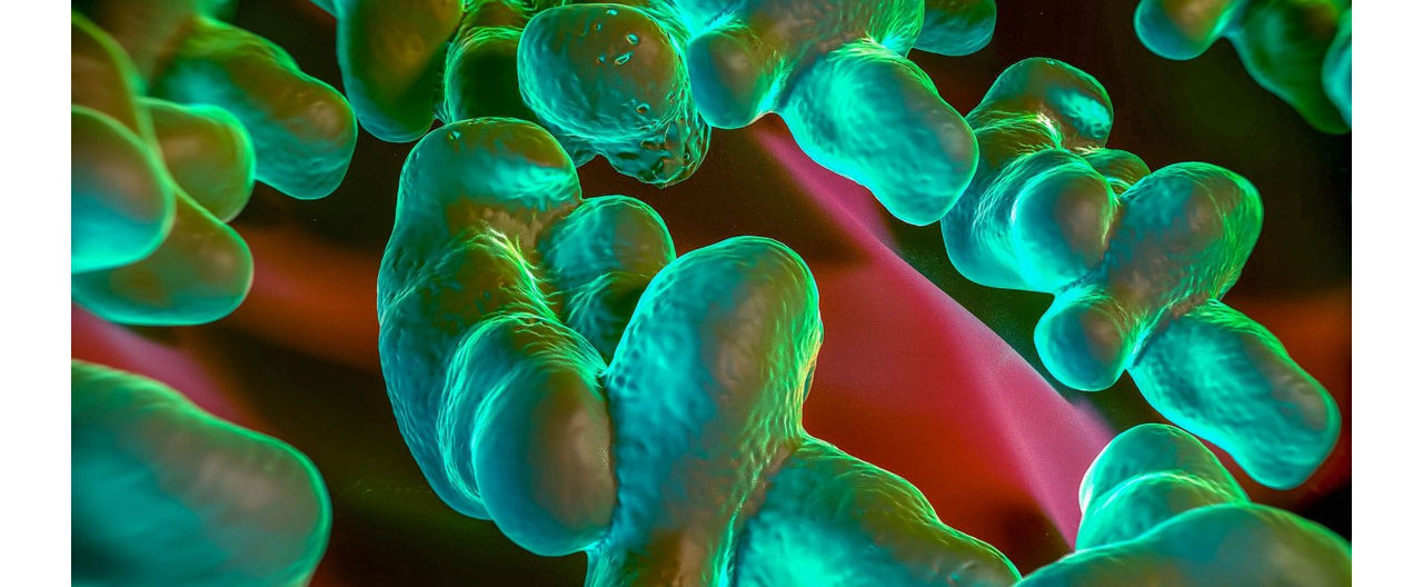 Campylobacter | Pioneering Diagnostics