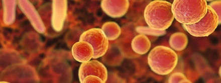 1-hour mycoplasma testing | Pioneering Diagnostics