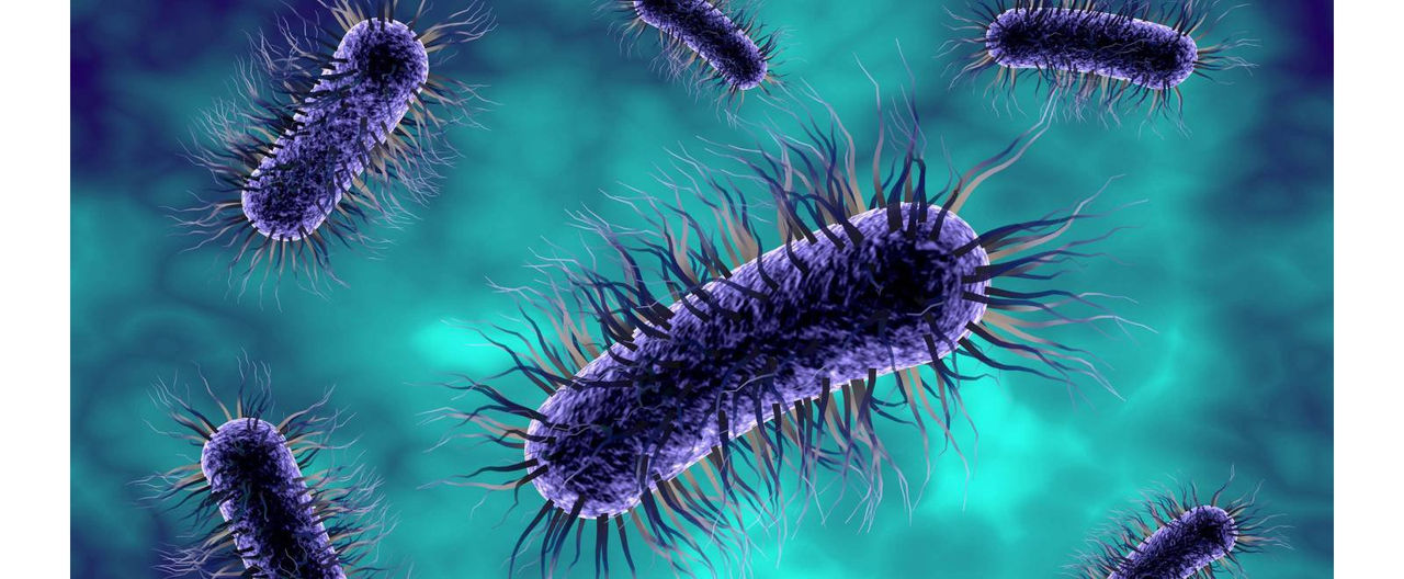 Bacterial Endotoxin Testing | Pioneering Diagnostics