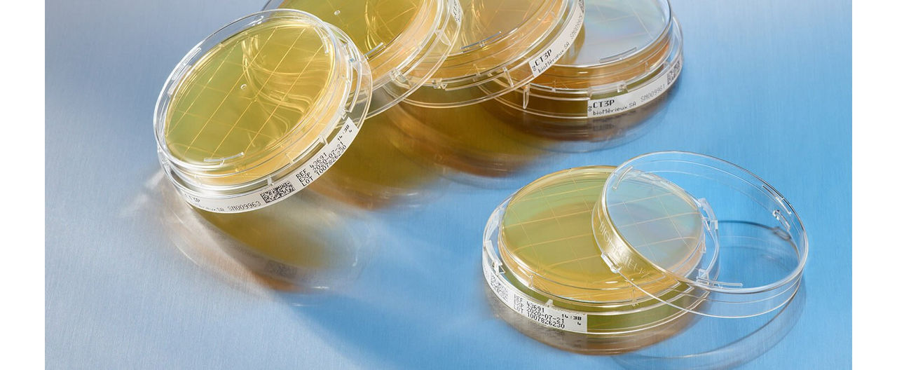 Environmental Monitoring for Pharmaceuticals | Pioneering Diagnostics