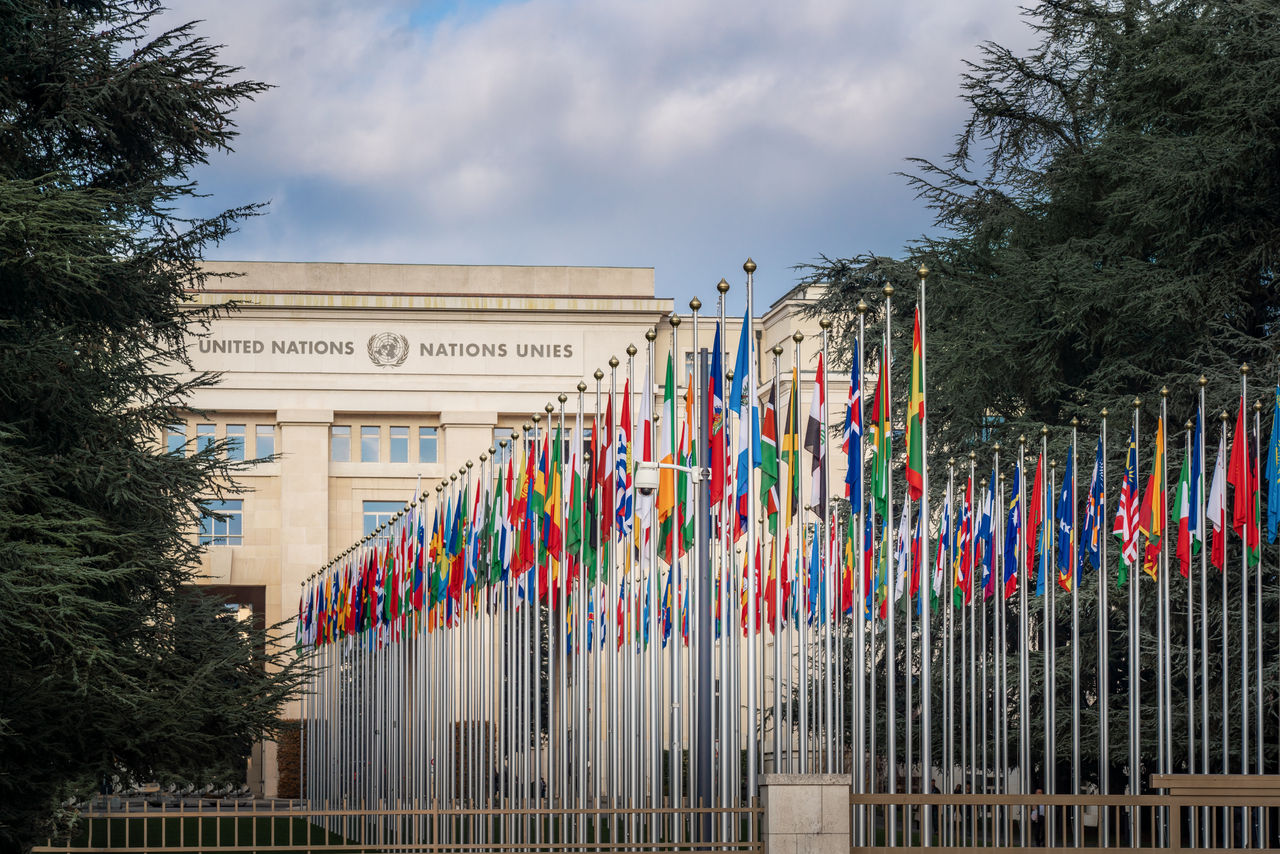 UN declaration highlights key role of diagnostics in mitigating ... UN declaration highlights key role of diagnostics in mitigating ...