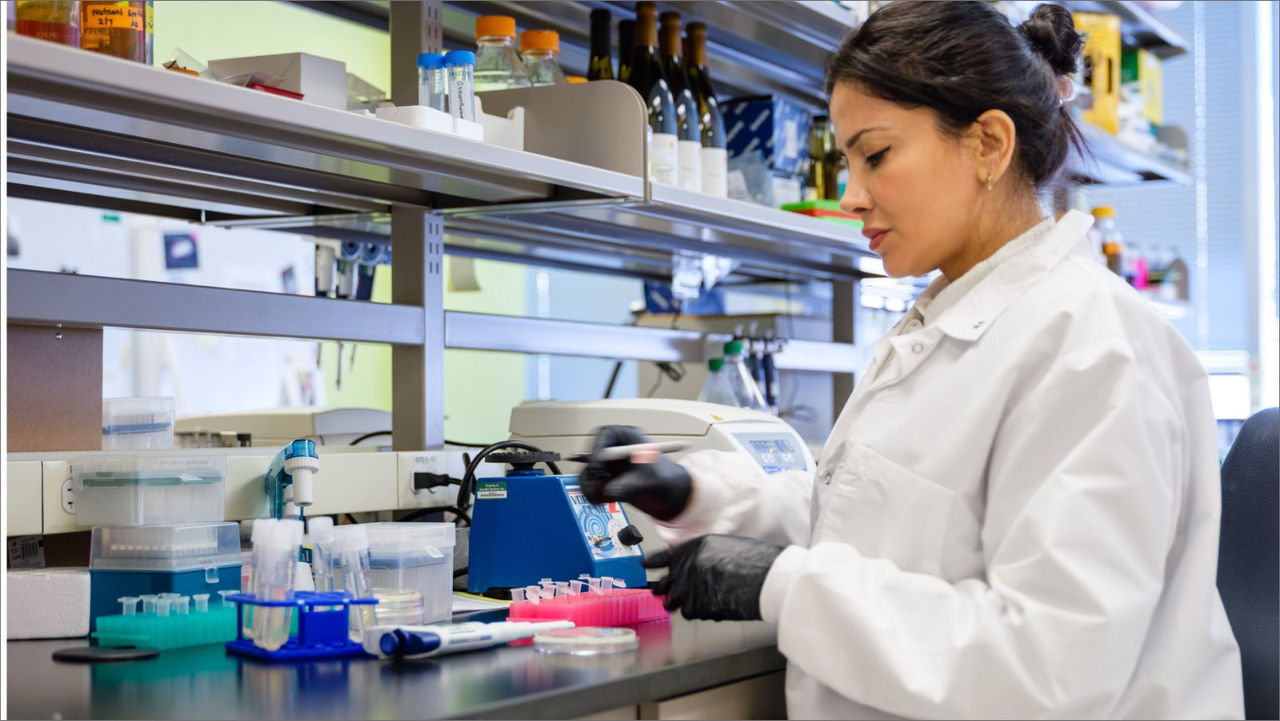 Custom Molecular Assays | Pioneering Diagnostics