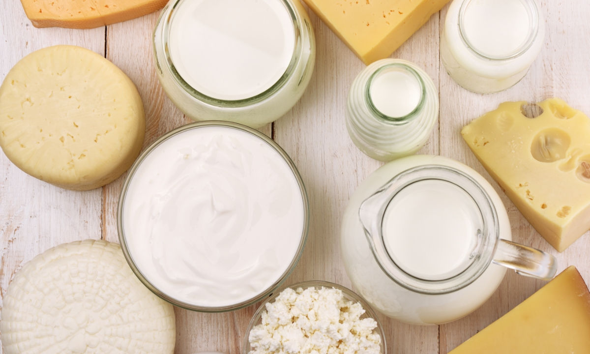Dairy and Plant-based Products | Pioneering Diagnostics