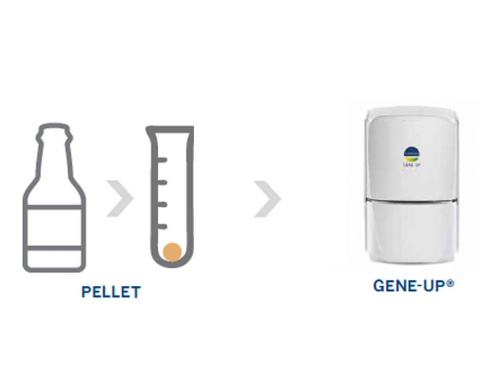 GENE-UP® BREWPRO™ | Pioneering Diagnostics