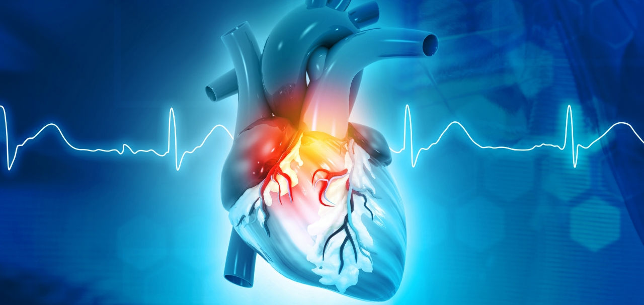 Cardiac Diagnostic Testing, Heart Failure Diagnostics | Pioneering ...