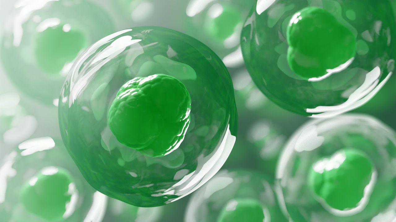 Innovative Endotoxin Testing For Cell & Gene Therapies | Pioneering ...