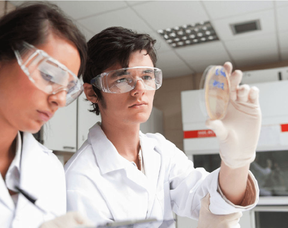 Feasibility Study | Pioneering Diagnostics