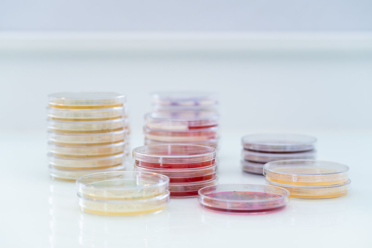 Pharmaceutical Culture Media | Pioneering Diagnostics