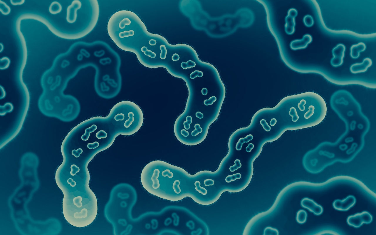 Diagnostics Help Physicians Treat Acute Gastroenteritis | bioMérieux ...