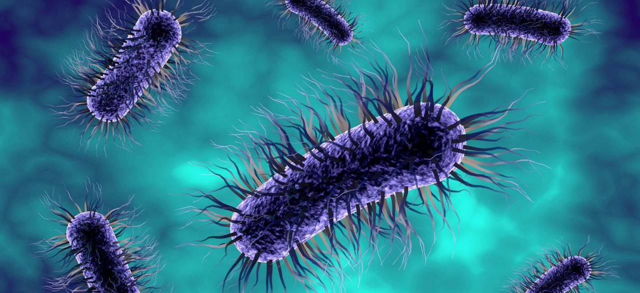 Endotoxin Testing | Pioneering Diagnostics