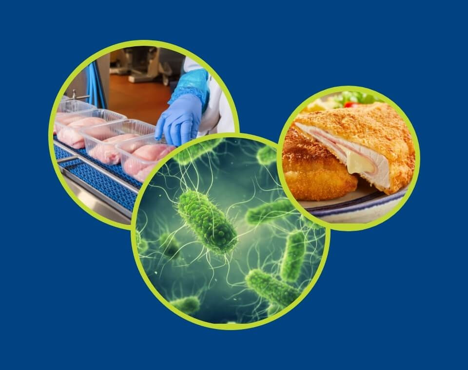 True Direct Quantification of Salmonella | Pioneering Diagnostics