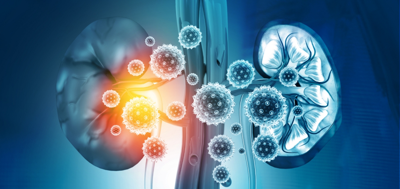 Hospital and Laboratory | Pioneering Diagnostics