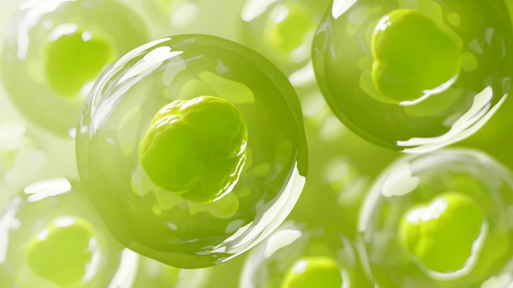 Adopt Revolutionary Mycoplasma Testing with Next Gen PCR to Reduce the ...