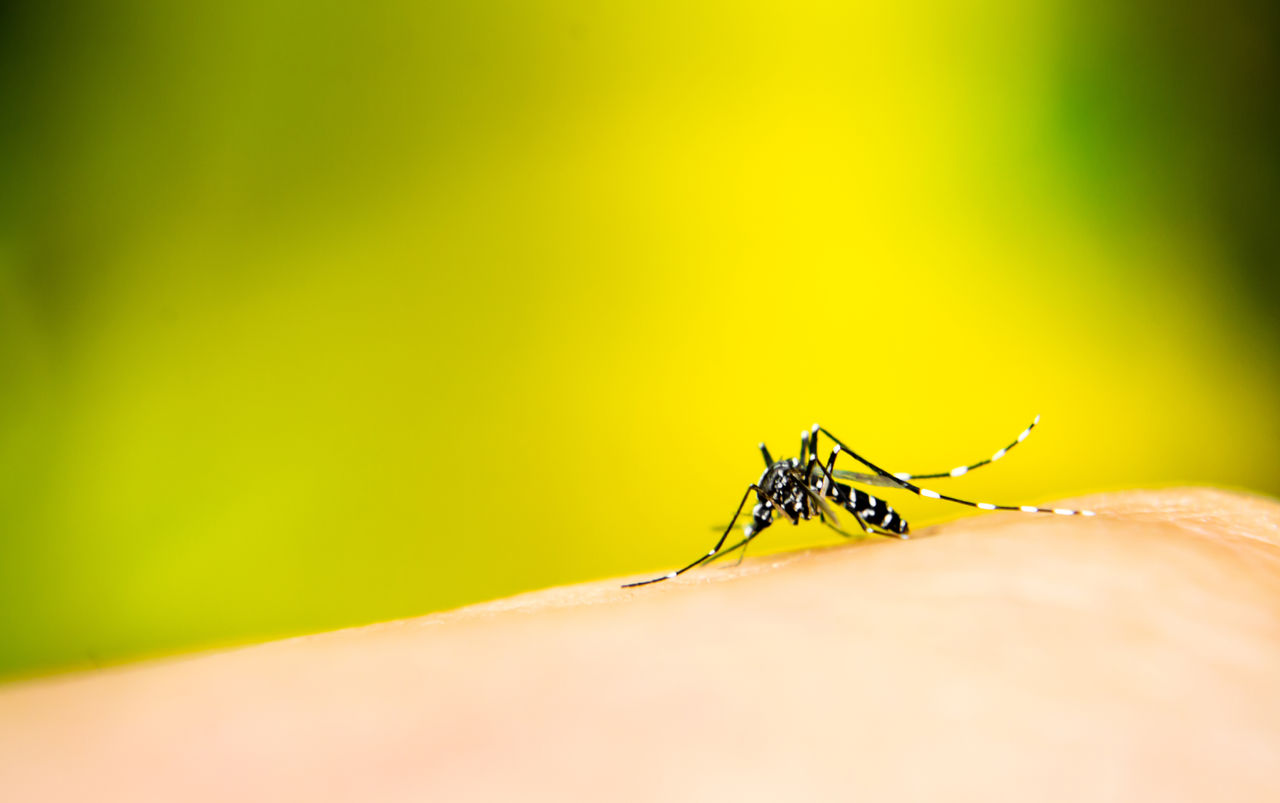 Infectious Diseases | bioMérieux Living Diagnostics Blog