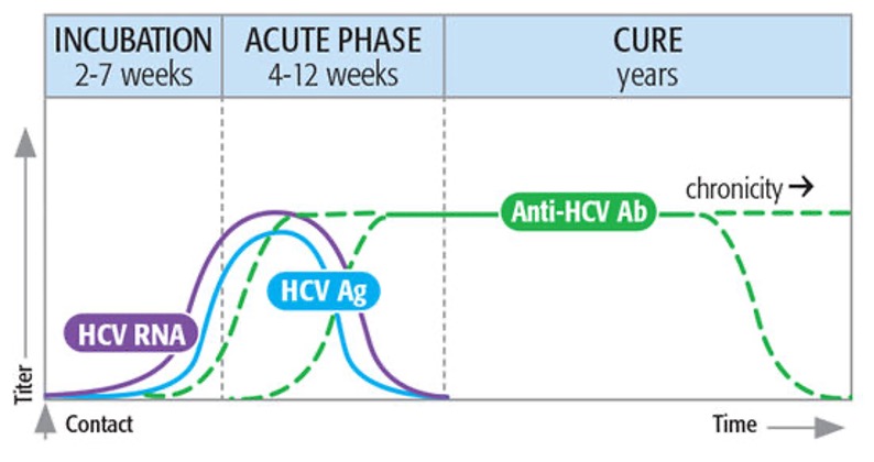 VIDAS® Hepatitis Panel | Pioneering Diagnostics