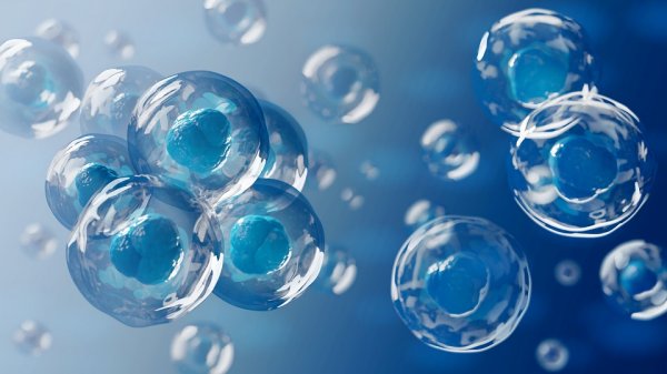 Sample and Media Preparation | Pioneering Diagnostics