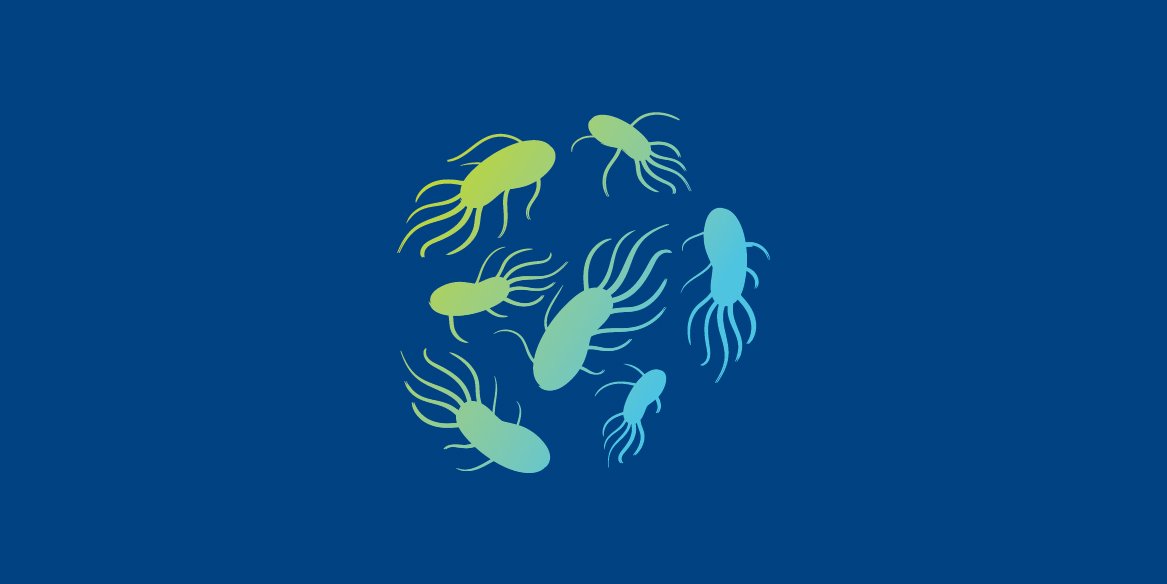 Comprehensive Cronobacter Solutions Pioneering Diagnostics