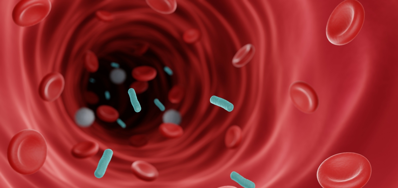 In Hospital / In Lab | Pioneering Diagnostics