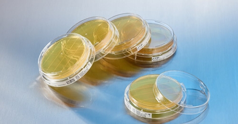 Non-Sterile Pharma & Personal Care | Pioneering Diagnostics